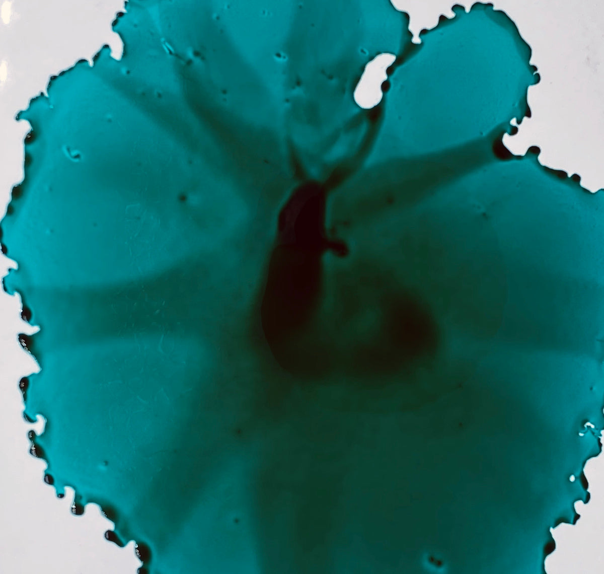 Adios M.F. – Woodesgoodies.com