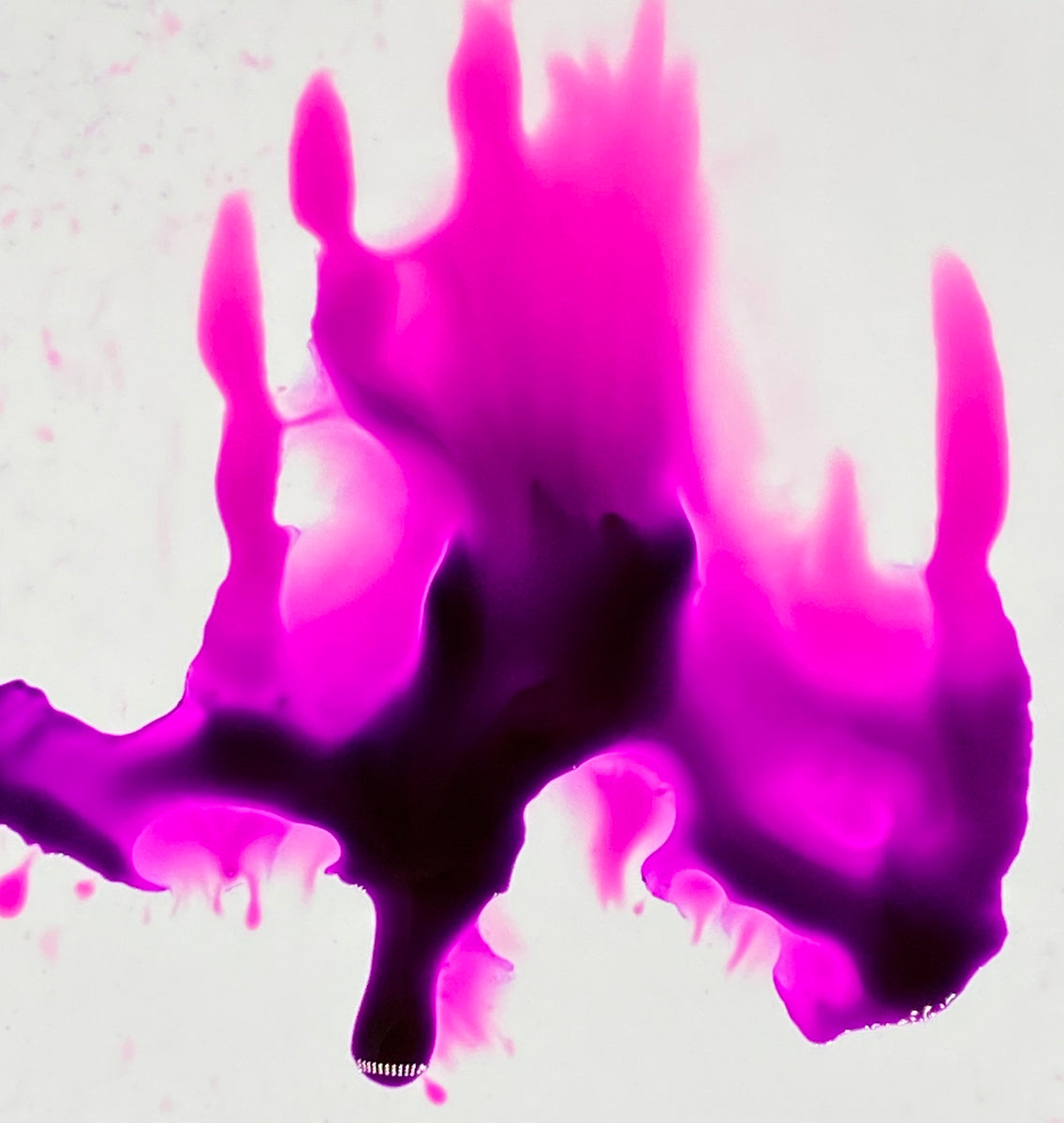 Purple Nurple – Woodesgoodies.com
